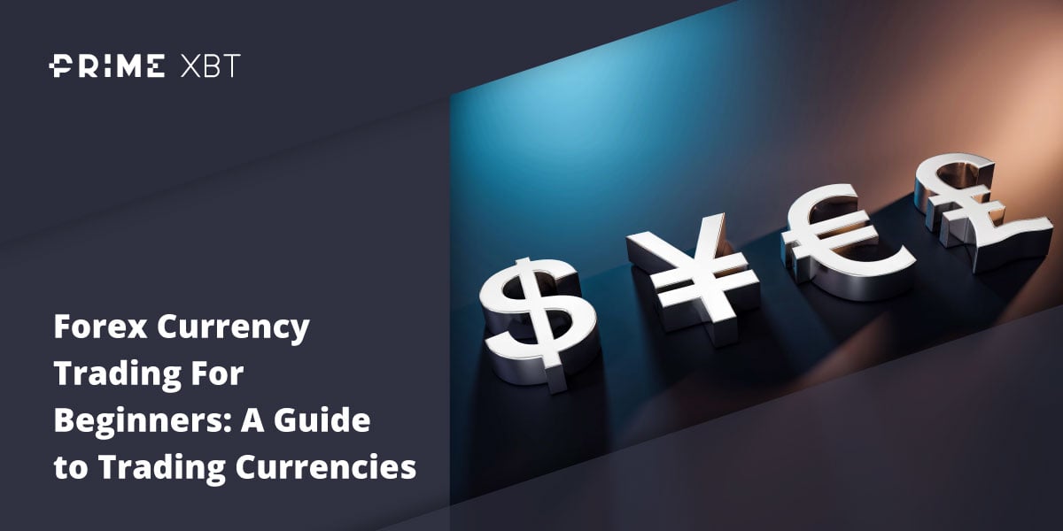 How to Trade Currencies | A Guide to Trading Currencies | PrimeXBT