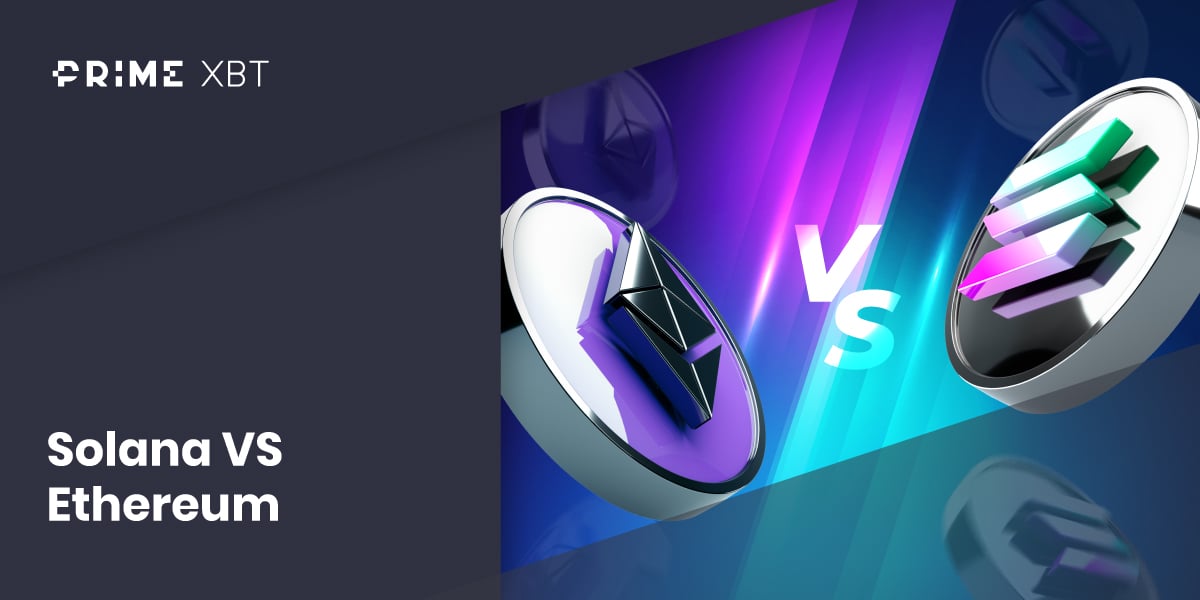 Materials for Traders | PrimeXBT